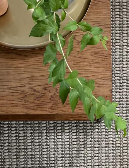 Sisal Rugs Carpet at Affordable Prices Sisal Rugs Direct